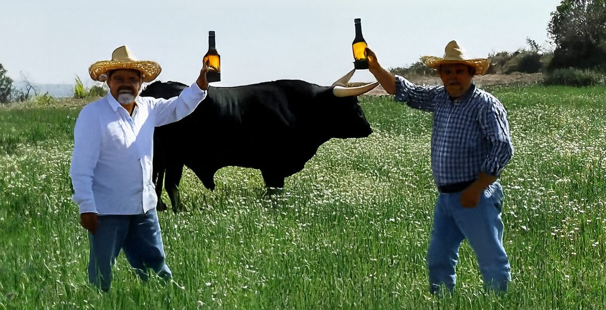 In rural Spain, are gender roles like 'Alpha Males'? - South of Granada
